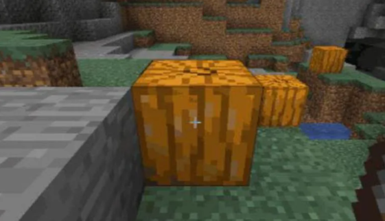 Cómo tallar una calabaza en Minecraft - The Arcader